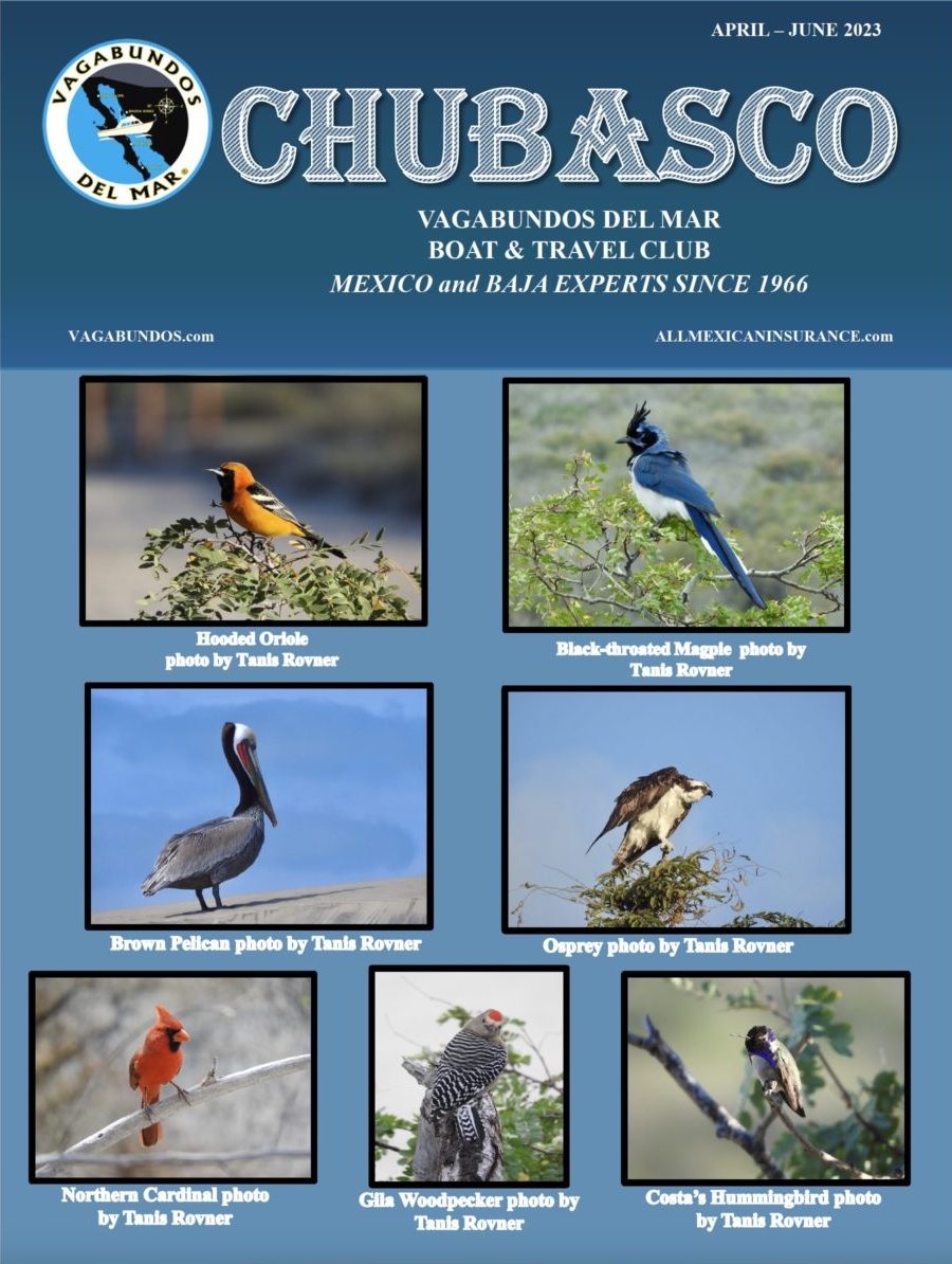 Chubasco Newsletters - Vagabundos