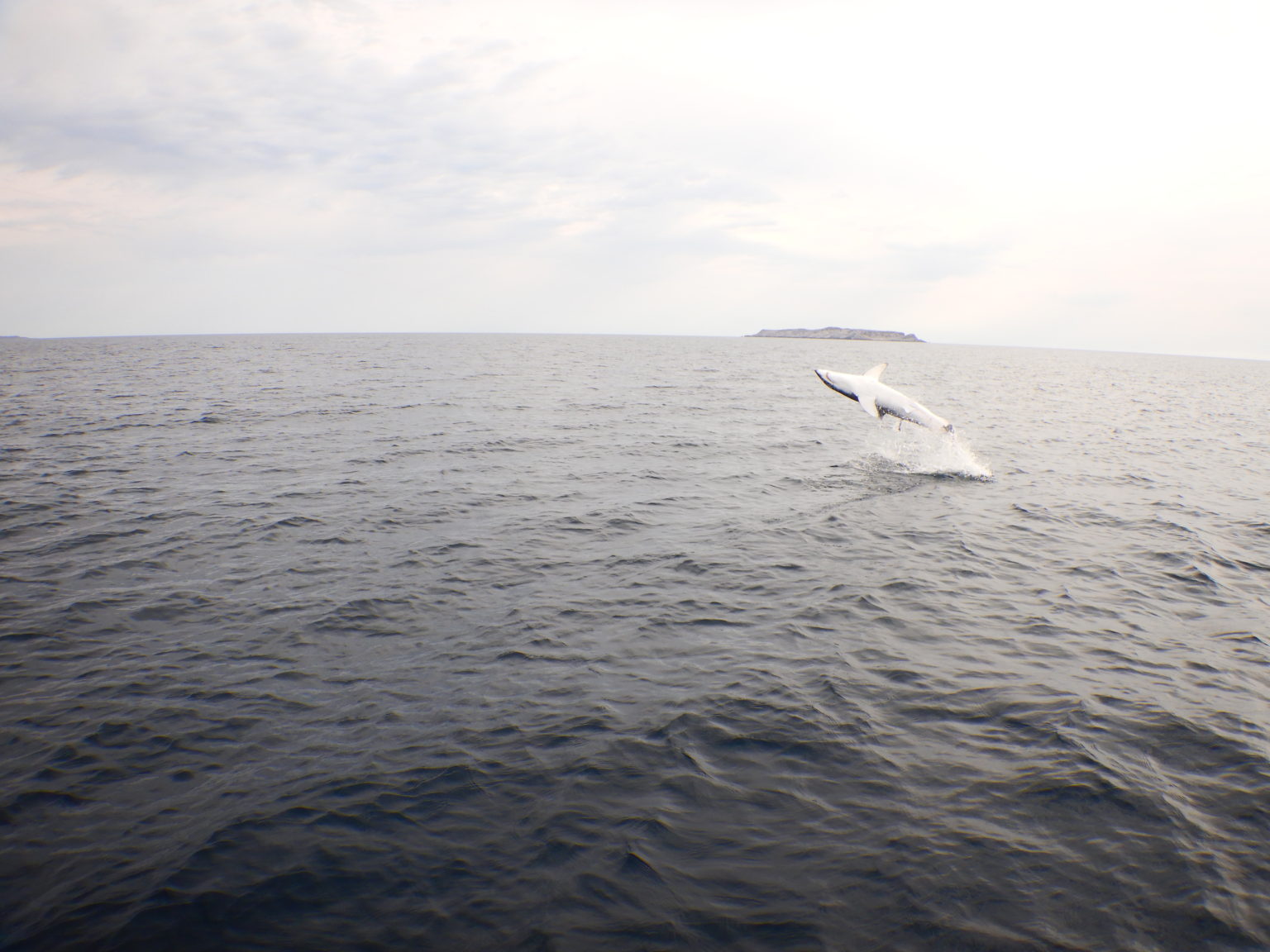 Winners of our Photography Contest - Vagabundos